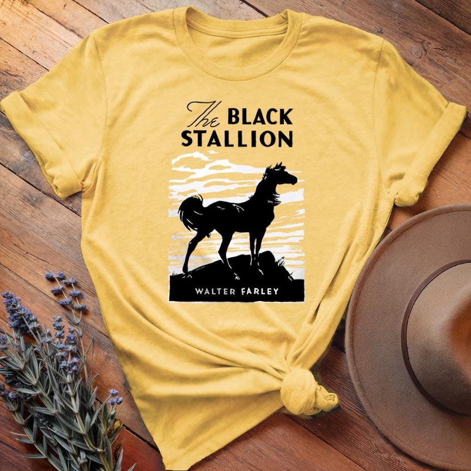 The Black Stallion Cover